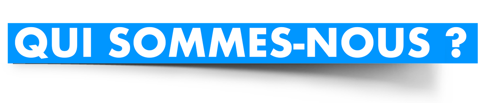 Qui sommes-nous ? - Infocom France
